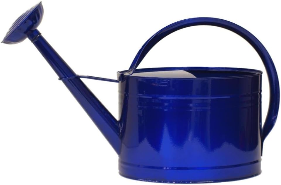 Amazon.com : HIT 8584EXR Galvanized Heavy Gauge Steel Watering Can, 2 ...