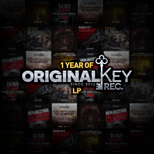 Amazon.com: 1 Year of Original Key Records [Explicit] : VARIOUS ARTISTS ...