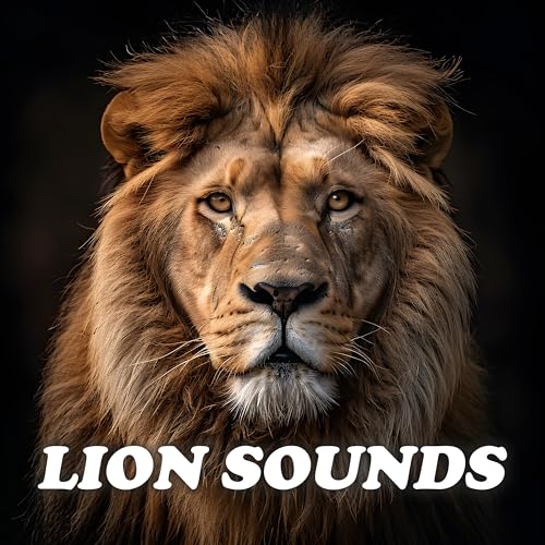 Amazon.com: Lion Sounds : Lion Sounds: Digital Music