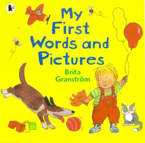 My First Words and Pictures: Amazon.co.uk: 9781406323177: Books