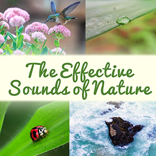 The Effective Sounds of Nature: The Best Music Collection for ...