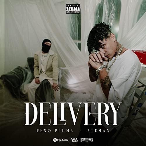 Delivery [Explicit] canción de Peso Pluma & Alemán de Delivery ...