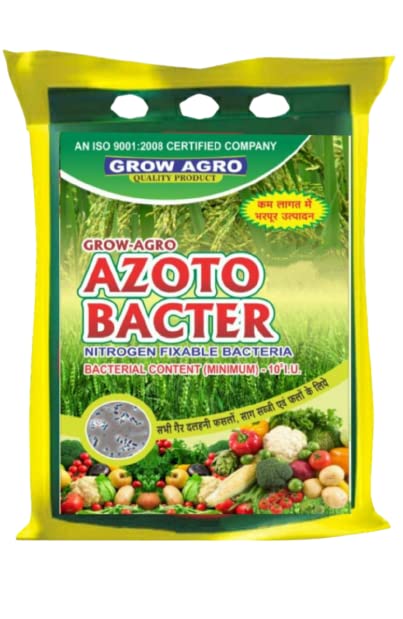 Azotobacter Powder Nitrogen Fixing Bacteria (Biofertilizer) (1KG in ...