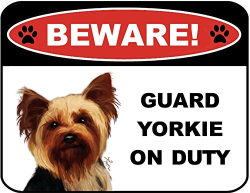 Discover the Top 10 Yorkie Signs to Make Your Pup's Personality Shine ...