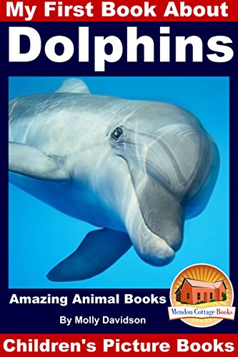 My First Book About Dolphins - Amazing Animals Books - Children's ...
