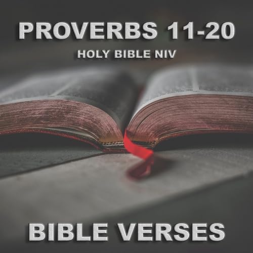 Amazon.com: Holy Bible Niv Proverbs 11-20 : Bible Verses: Digital Music