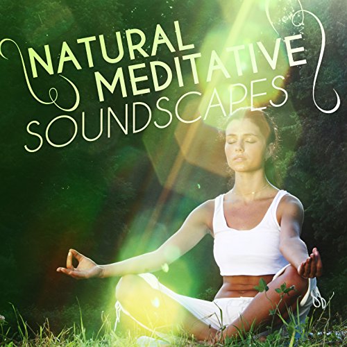 Amazon.com: Natural Meditative Soundscapes : Soundscapes!, Nature Sound ...