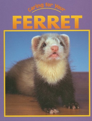 Ferret (Caring for Your Pet): Hamilton, Lynn: 9781590361153: Amazon.com ...