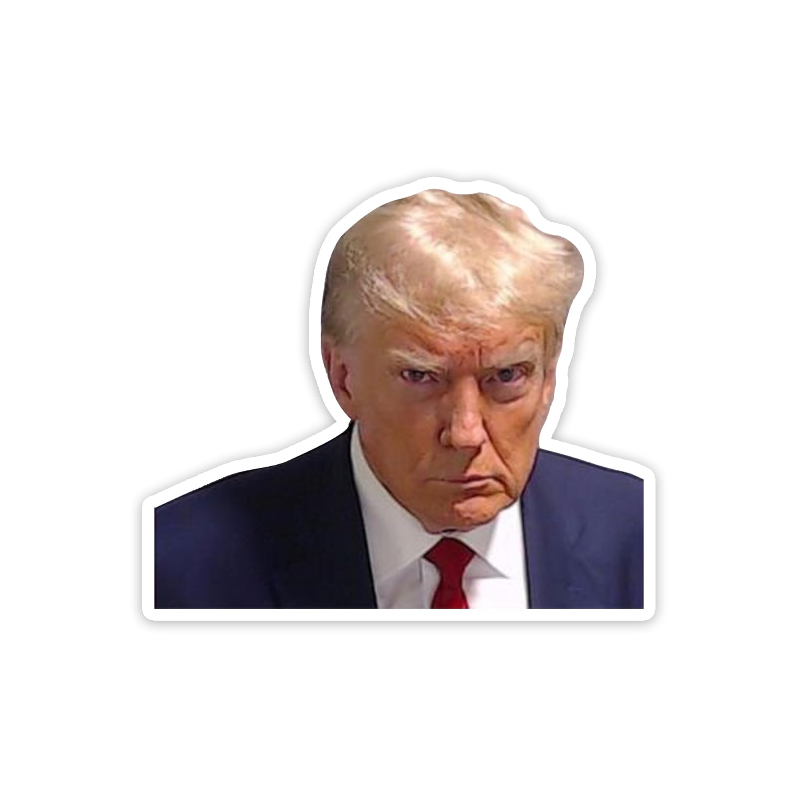 Amazon.com - Trump Mugshot Vinyl Sticker Auto Car Truck Wall Laptop ...