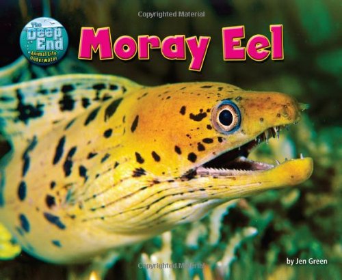 Moray Eel (Science Slam: The Deep End-Animal Life Underwater): Green ...