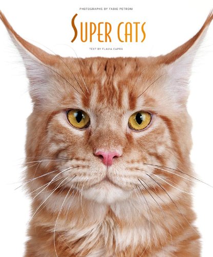 Super Cats: Capra, Flavia, Petroni, Fabio: 9788854406940: Amazon.com: Books