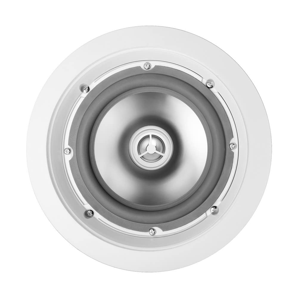 ICE640WRS Outdoor In-Ceiling Speaker Whole House Audio