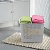 Amazon.com: Hommp 4-Pack 35 L Plastic Laundry Hamper, Large Storage ...