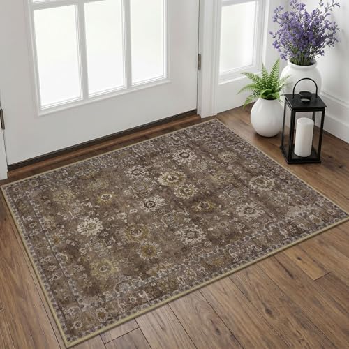 Amazon.com: Lansny Small Vintage Area Rug 2x3, Washable Entryway Rug ...