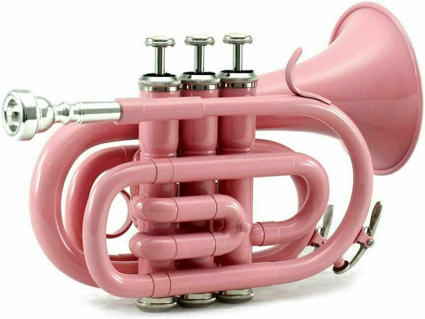 Pink Trumpet Case – The 16 best products compared - www.djgblogger.com
