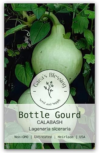 How to cook a gourd squash - Metro Cooking Dallas