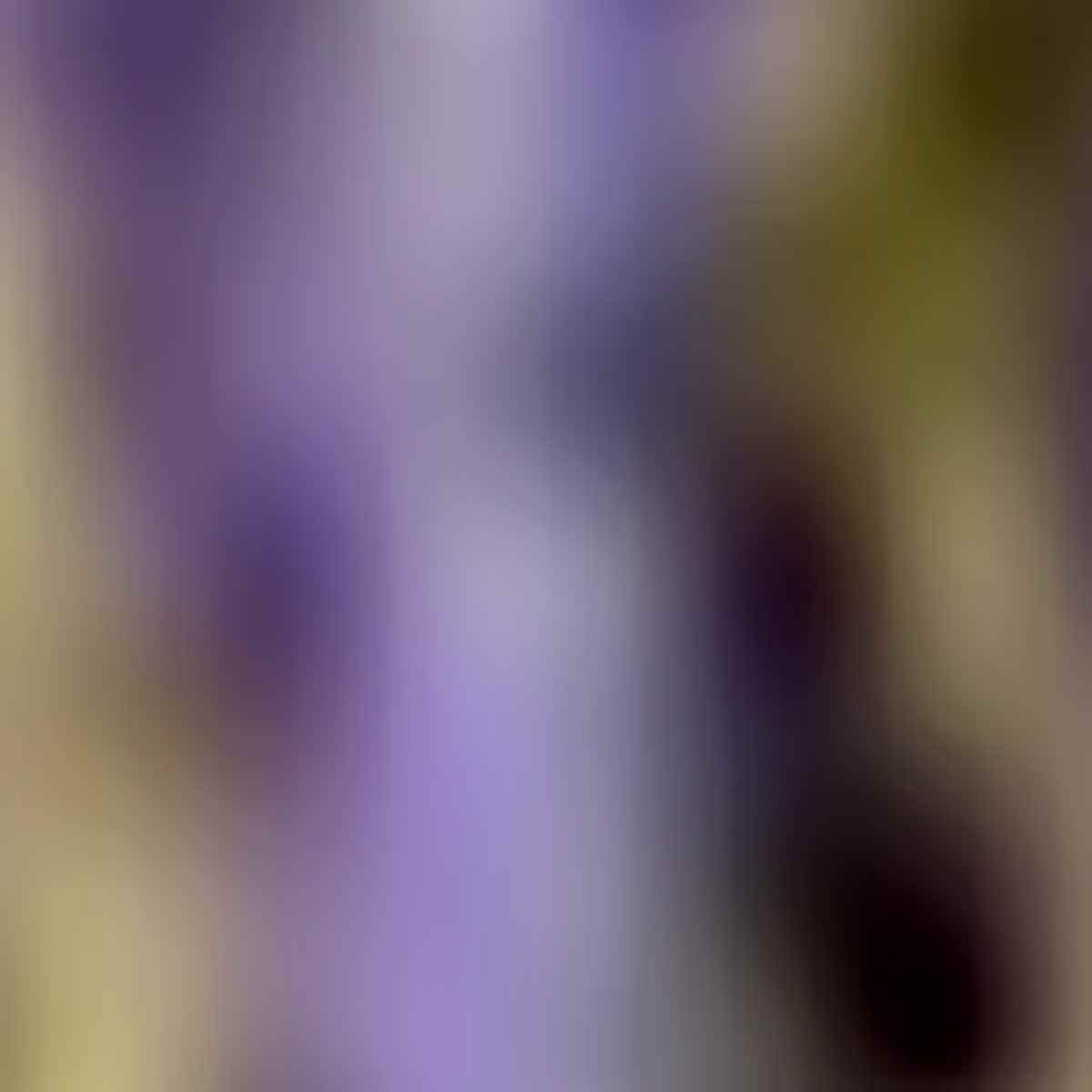 Gangare Enterprises Non Woven Home Decor 3D Wallpaper 57 Sqft. (396 X ...