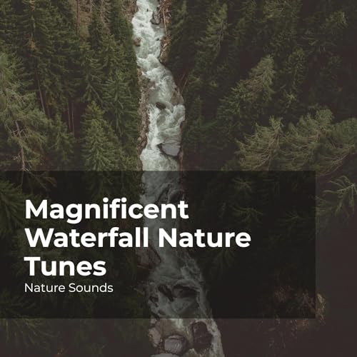 Play Magnificent Waterfall Nature Tunes by 自然音, Sleep Sounds of Nature ...
