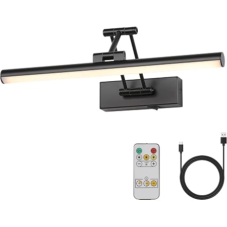 Joossnwell Modern Picture Light Black LED Picture Frame Lights for ...