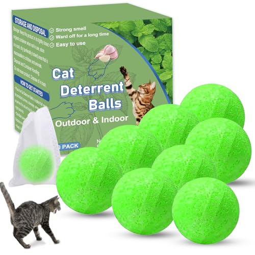 Outdoor Cat Repellent – The 15 best products compared - Wild Explained