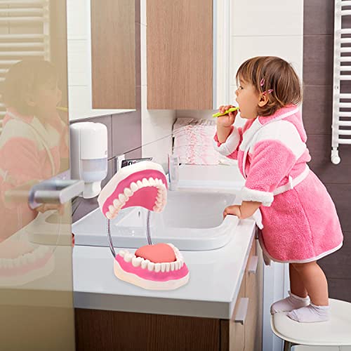 Dental Mouth Model, 6 Times Enlarge Anatomical Mouth Teaching Model ...