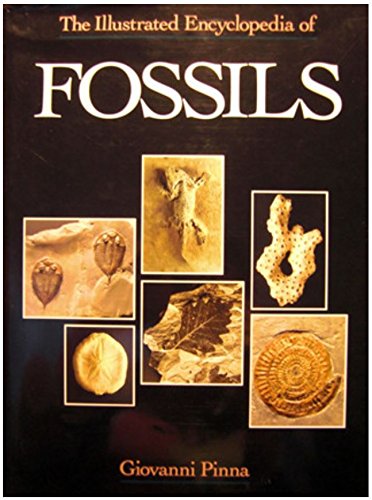 The Illustrated Encyclopedia of Fossils: Pinna, Giovanni, Hyams, Jay ...