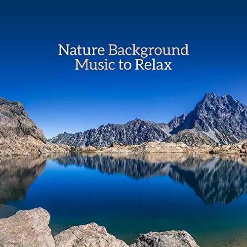 Amazon.com: Nature Background Music to Relax – Soft Nature Waves to ...