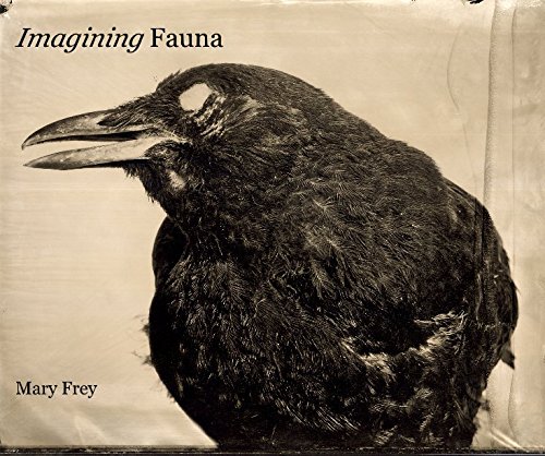 Imagining Fauna: Mary Frey: 9781389035036: Amazon.com: Books