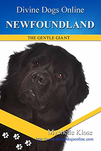 Newfoundlands (Divine Dogs Online Book 1) eBook : Klose, Mychelle ...