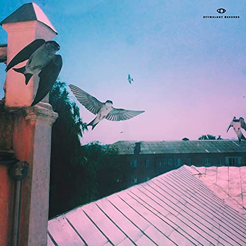 Rooftops de Sineg en Amazon Music Unlimited