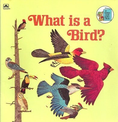 What Is a Bird? (Look-Look): Golden Books: 9780307118059: Amazon.com: Books
