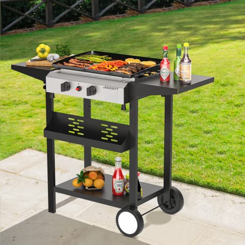 SKOK 2 Burner Gas Griddle-17 Inch Outdoor Propane Griddle- 20000 BTU ...