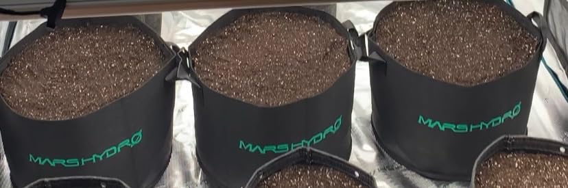 Amazon.com : MARS HYDRO 5-Pack 10 Gallon Grow Bags Heavy Duty 400G ...