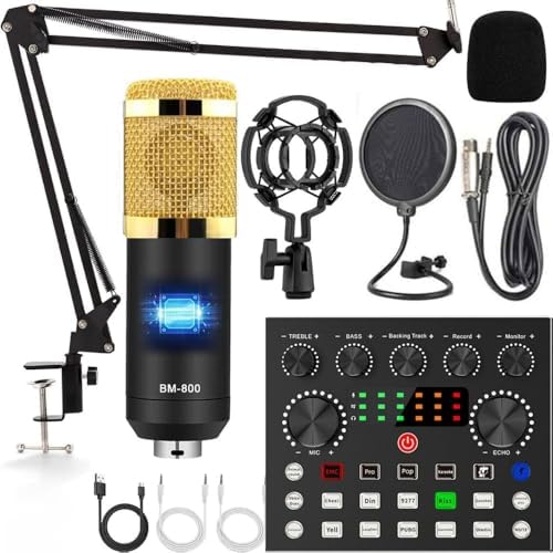 TECHBLAZE BM800 Condenser Microphone Mic Set with V8s Audio Mixer Sound ...