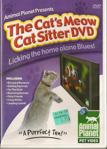 Amazon.com: The Cat's Meow Cat Sitter DVD (Animal Planet) : Movies & TV