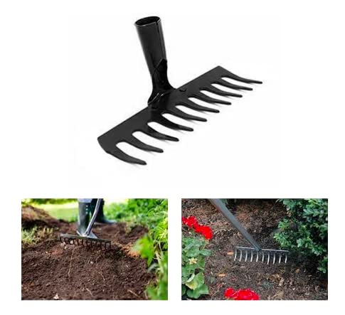 Garden Rake - 10 Teeth Without Handle : Amazon.in: Garden & Outdoors