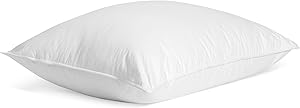 Amazon.com: Brooklinen Luxury Mid-Plush Down Pillow – Natural Down ...
