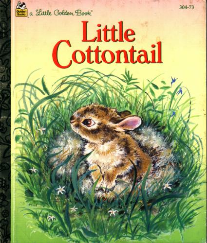 Little Cottontail (Little Golden Storybook): Carl Memling, Lilian ...