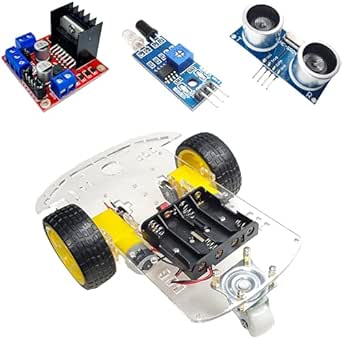DIYables 2WD RC Robot Car Kit for Arduino, ESP32, ESP8266, Raspberry Pi, Including L298N Motor ...