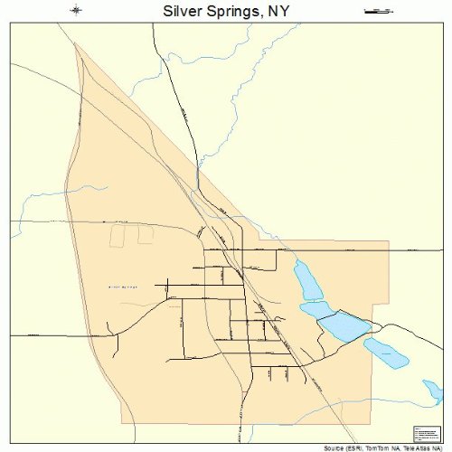 Amazon.com: Large Street & Road Map of Silver Springs, New York NY ...