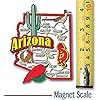 Amazon.com: Arizona Jumbo State Magnet by Classic Magnets, 3.2" x 4.1 ...