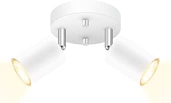 AUQUEE LED 2 Light Track Lighting Kit, LED Track Lighting Fixtures ...