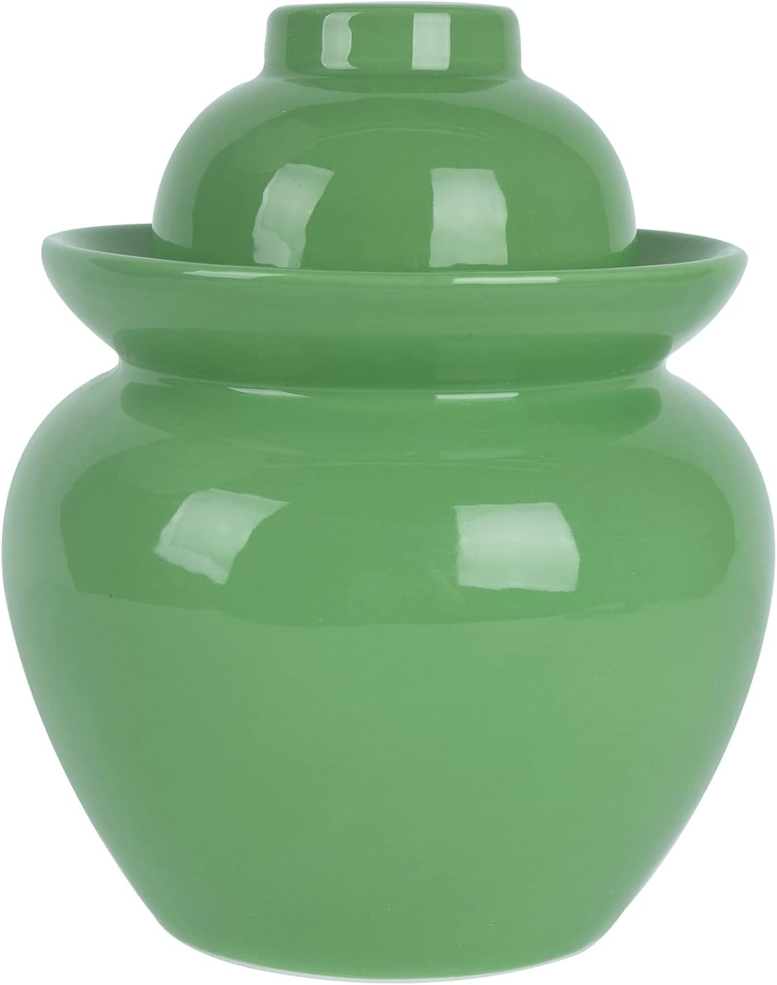 Amazon.com: Vencer Ceramic Fermentation Crock,Sauerkraut Crock ...