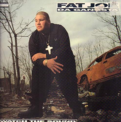 Fat Joe - Watch the Sound [Vinyl] - Amazon.com Music