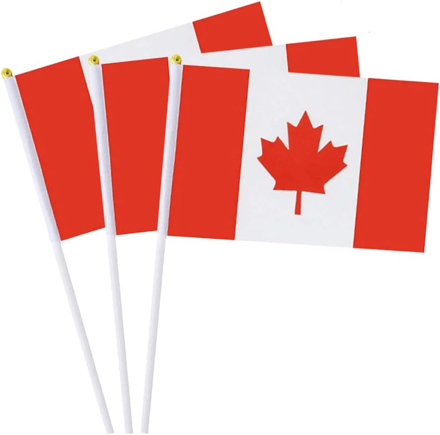 Amazon.com : Canada String Flag Pennant Banner, Small Mini Canadian ...