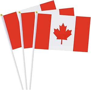 Canada Flag Canadian Flag, Small Mini Handheld Canada Flags on Stick ...
