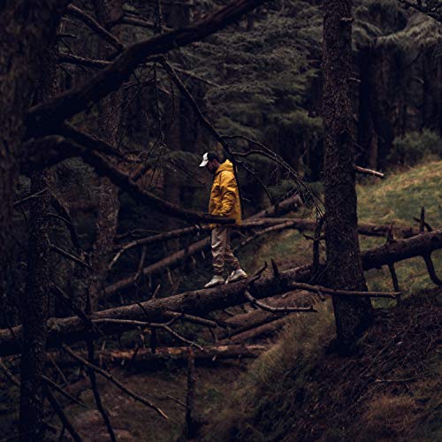 The Way I Am de Gustavs Strazdins en Amazon Music Unlimited