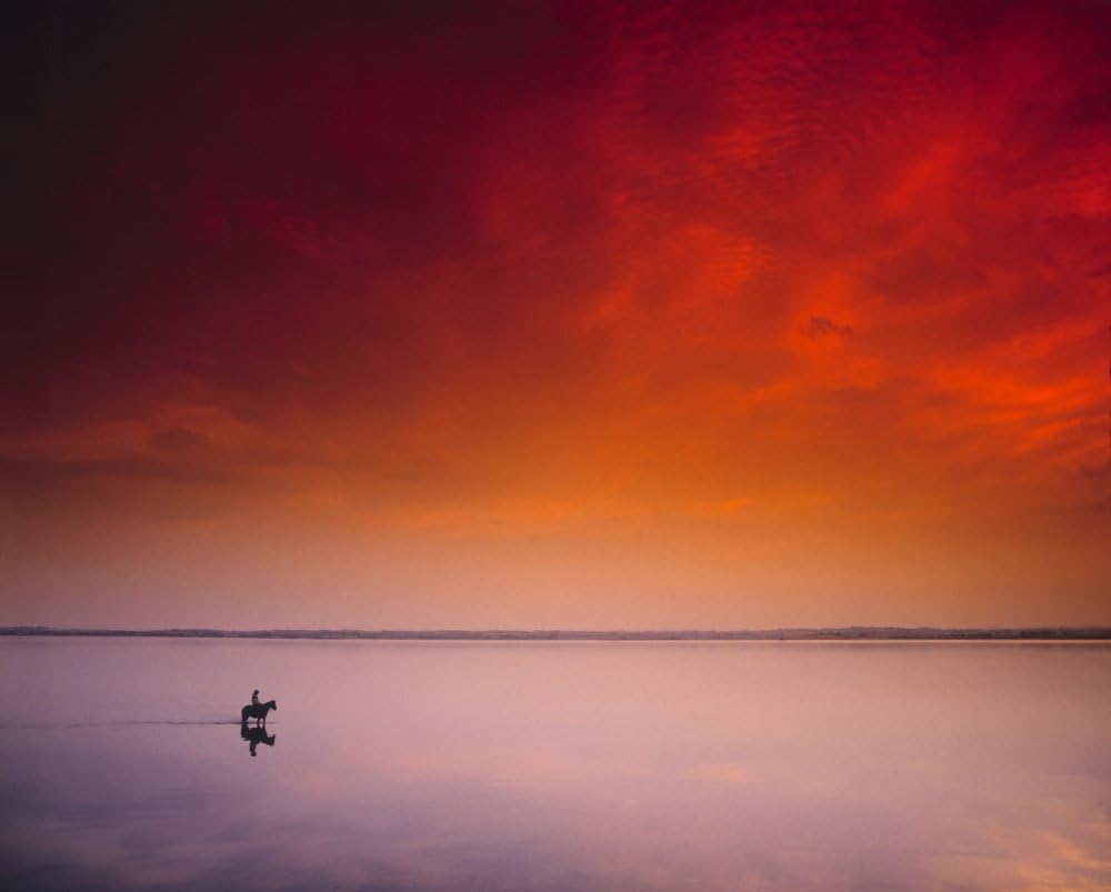 Amazon.com: Horse Riding Strangford Lough County Down Ireland Poster ...