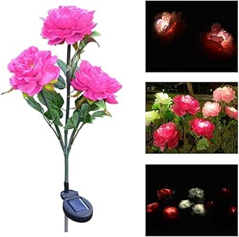 Solar Peony Flower Lights for Outdoor Lawn, Waterproof LED Lights for ...