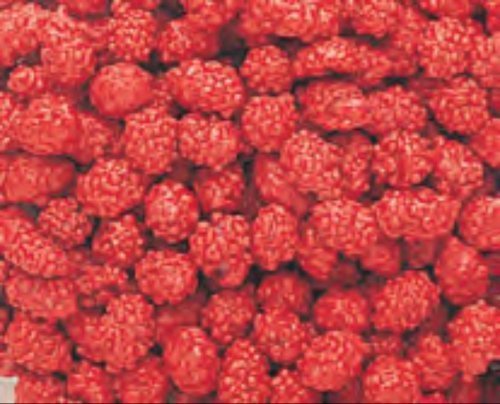 Amazon.com: French Burnt Peanuts Candy 5LB Bag by The Nutty Fruit House